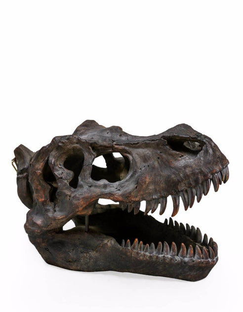 Large T Rex Wall Décor – The Interiors Barn