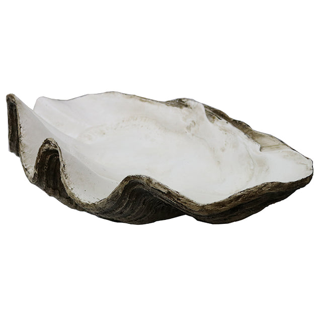Resin Clam Shell Large – The Interiors Barn