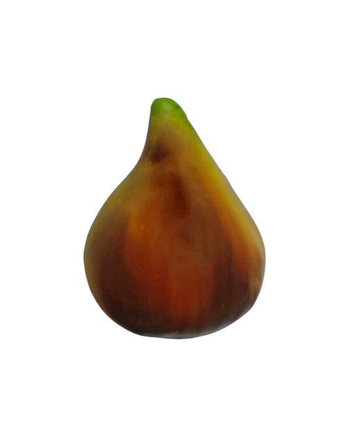 Faux Fig – The Interiors Barn