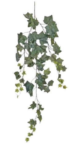 Large Leaf Ivy Vine Frosted – The Interiors Barn