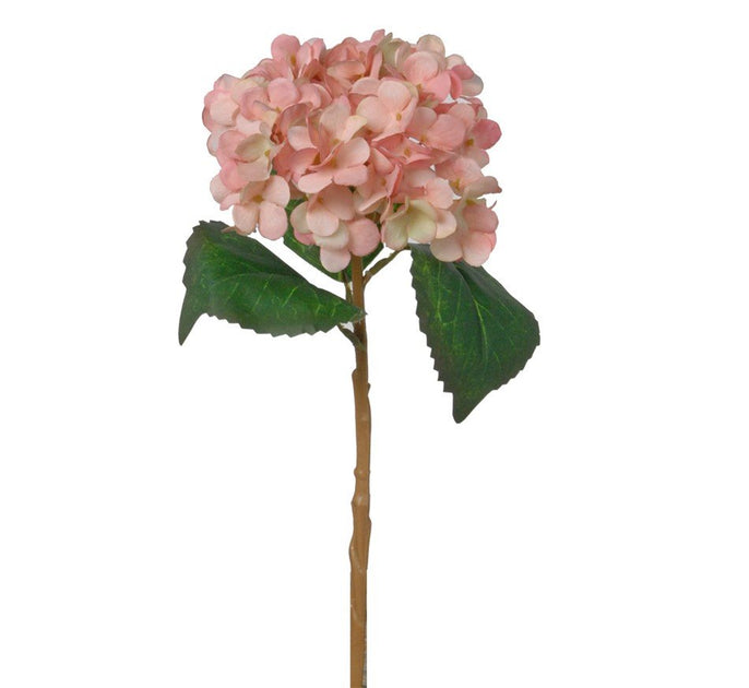 Garden Hydrangea - Watermelon – The Interiors Barn