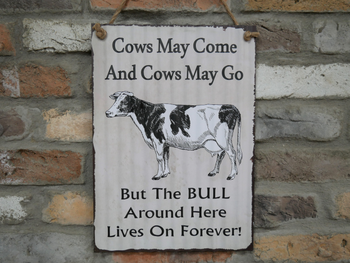 Sign- Cows May Go – The Interiors Barn
