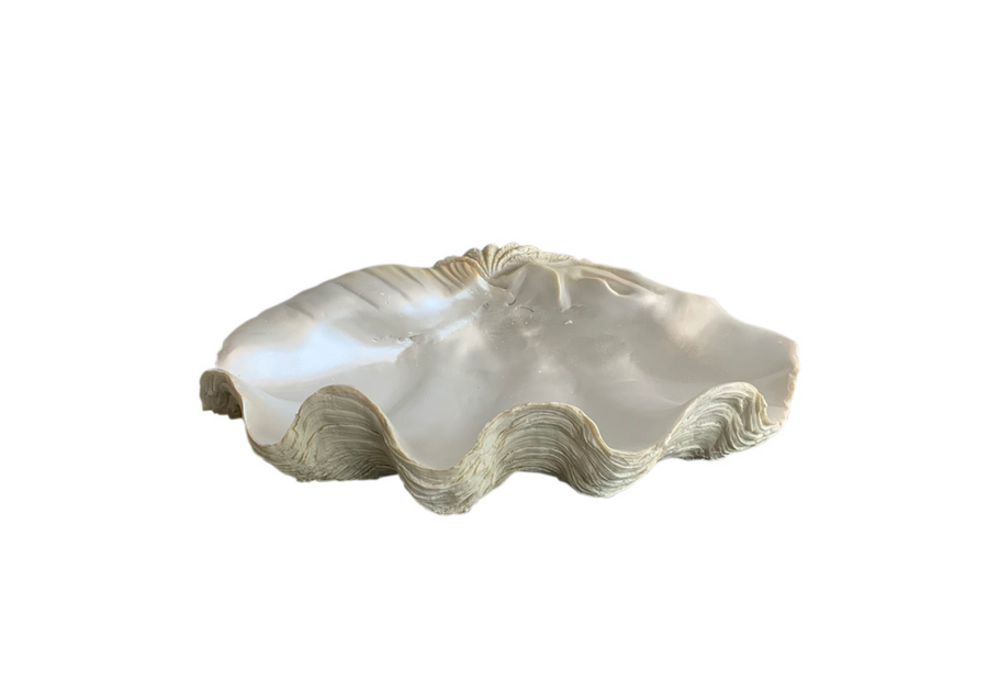 POLYRESIN CLAM SHELL – The Interiors Barn
