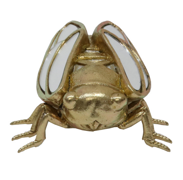Mirror Cicada – The Interiors Barn