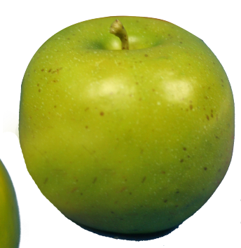 Medium Apple – The Interiors Barn