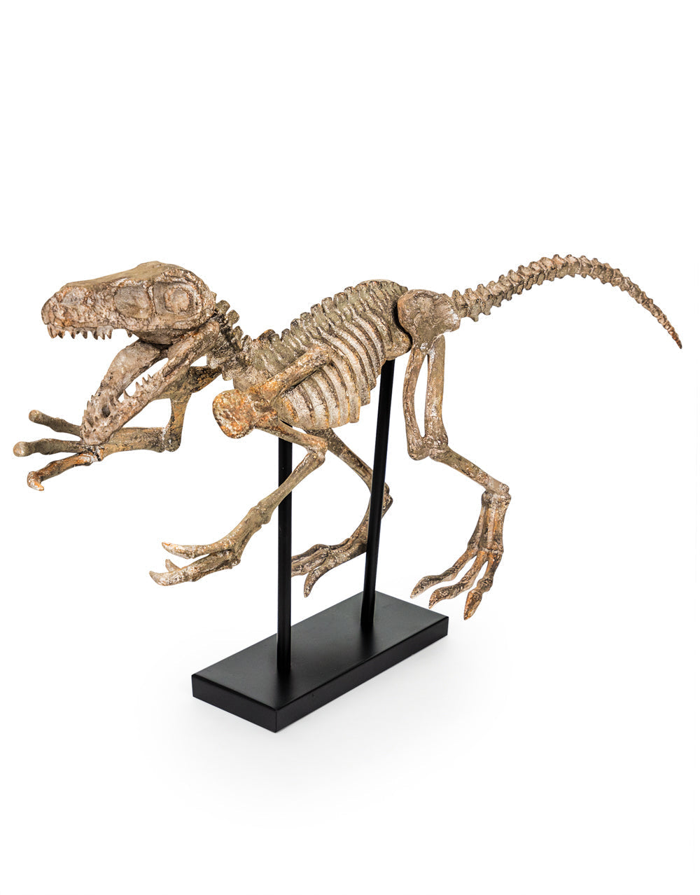 EXTRA LARGE DINOSAUR SKELETON ON STAND – The Interiors Barn
